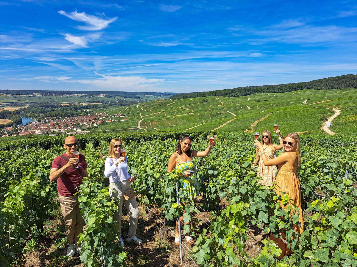 Full-Day Champagne Wine Tour from Paris