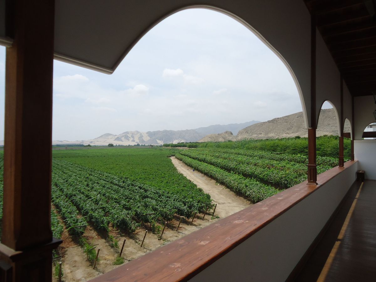Enjoy an adventurous trip to the Peruvian emerging wine destination in ...