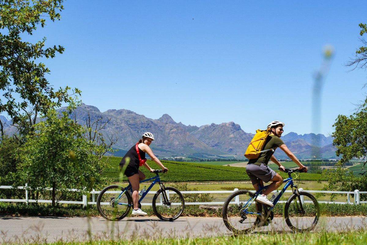Full day cycle tour in Stellenbosch, South Africa